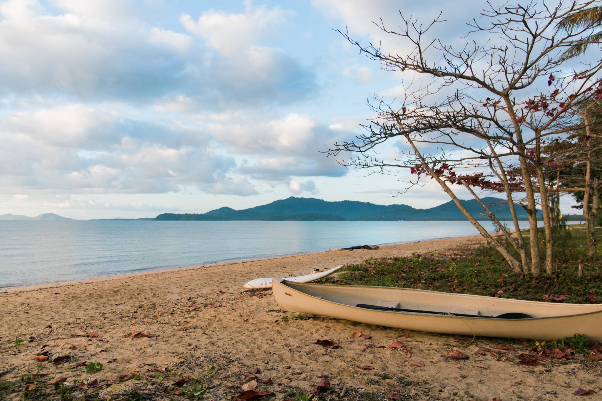 Kurrimine and Cowley Beach Foreshore Management Plan | Your Say ...